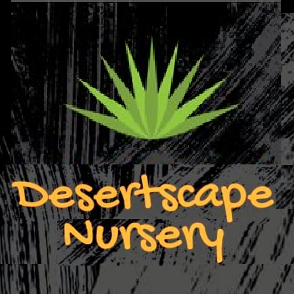 Collections – Desertscape Nursery
