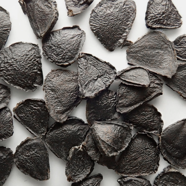 Agave lechuguilla 'Shin Dagger' - COLD HARDY - Seeds – Desertscape Nursery